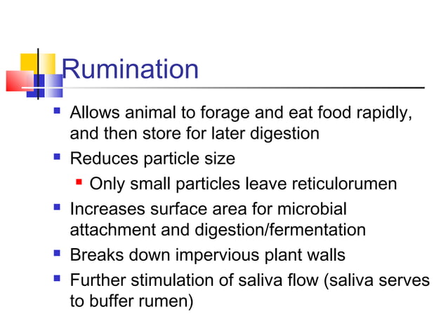 4 rumen fermentation | PPT