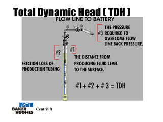 4 Run Life Ops.ppt | Physics | Science