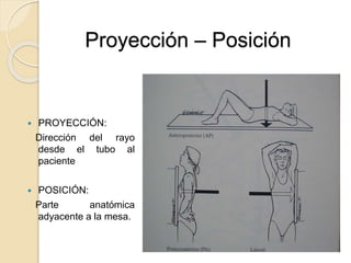 Rayos X de Torax P.A. | PPTX