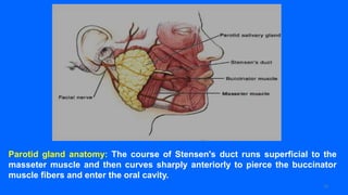 lecture 4 Diagnosis and management of salivary gland disorders | PPTX