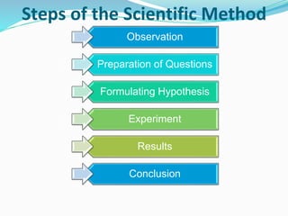 4 scientific method | PPT