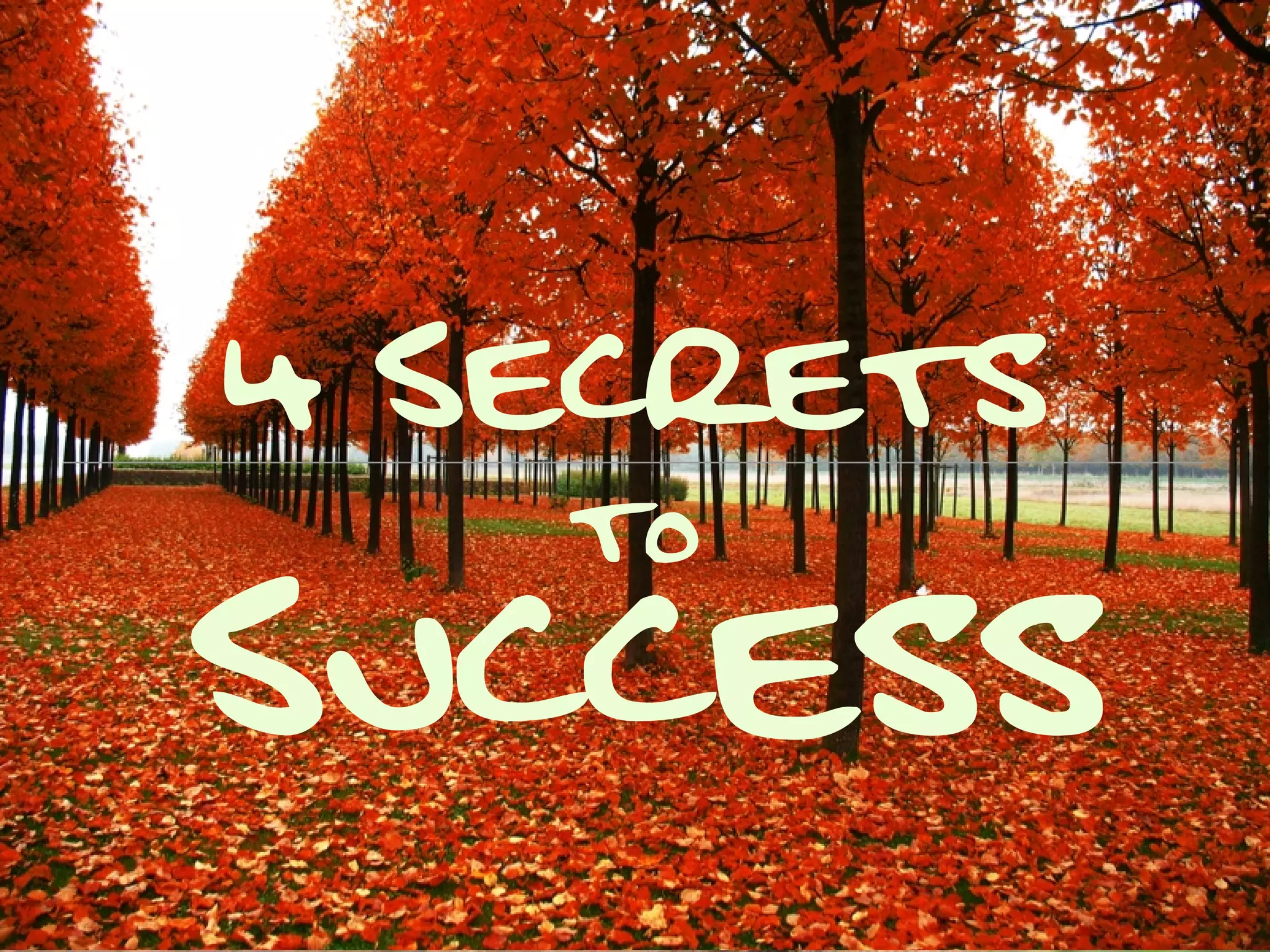 Four Secrets to Success | PDF