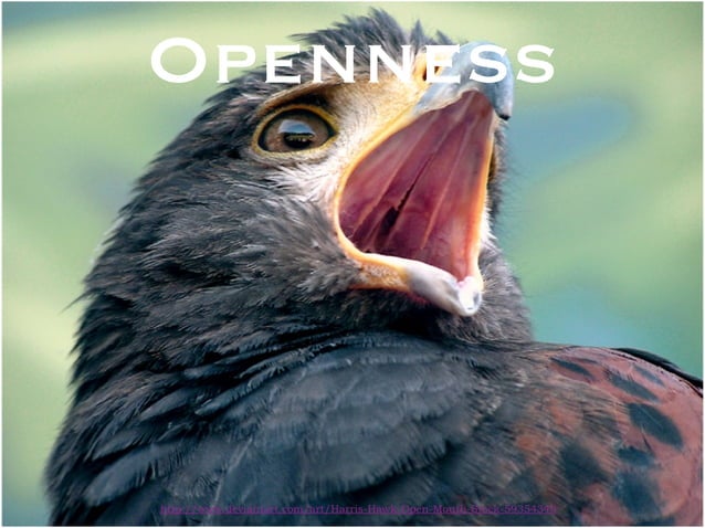 Four Secrets to Success | PDF