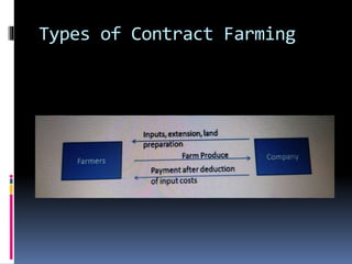 contract farming | PPTX