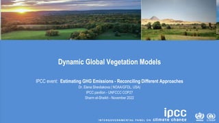 Dynamic Vegetation Global Models in IPCC Working Group I | PPTX