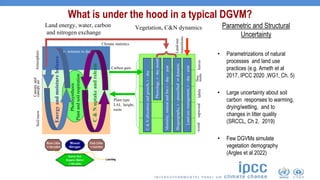 Dynamic Vegetation Global Models in IPCC Working Group I | PPTX