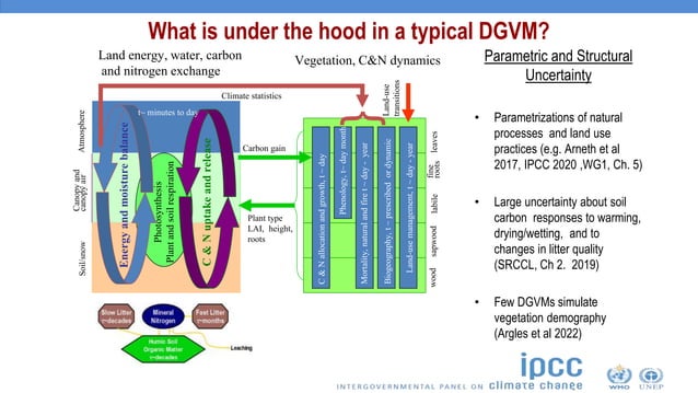 Dynamic Vegetation Global Models in IPCC Working Group I | PPTX ...