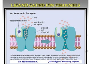 4 signal ligand gated ion channels. | PPT