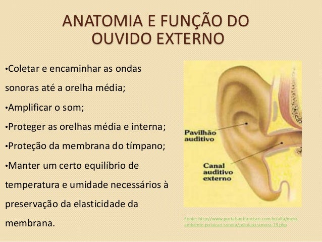 4 sistema auditivo