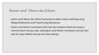 Sistem Saraf.pptx