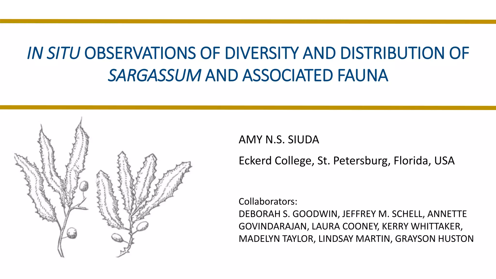 Dr Amy Siuda Ecker College - Floride : In situ observations of ...