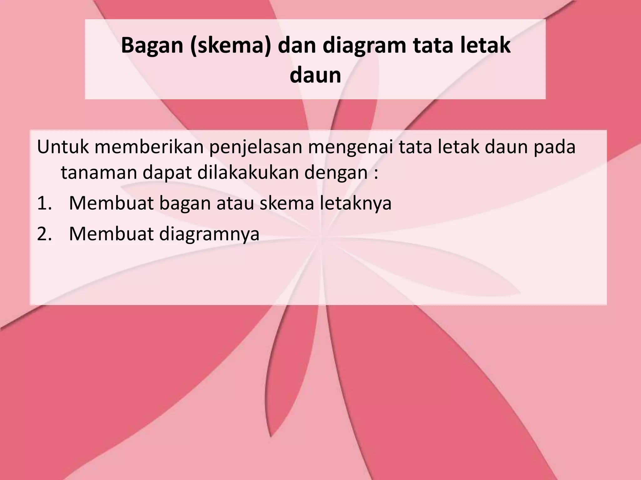 PPT Morfologi Tumbuhan - Tata Letak, Rumus, dan Diagram Daun | PPTX