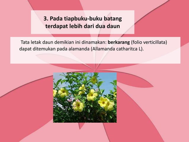 PPT Morfologi Tumbuhan - Tata Letak, Rumus, dan Diagram Daun | PPTX
