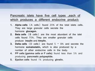 Pancreas and ilets of langerhane | PPTX