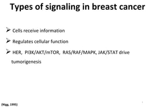 Molecular signaling involved in breast cancer | PPT