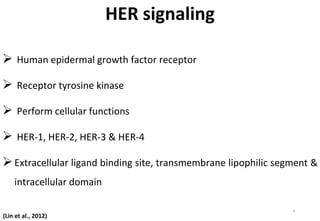 Molecular signaling involved in breast cancer | PPT