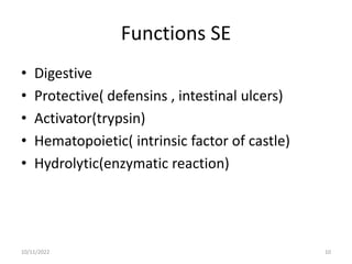 4 small intestine .pptx