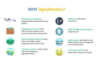 Community forest management for livelihoods improvement | PDF