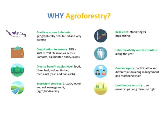 Community forest management for livelihoods improvement | PDF ...