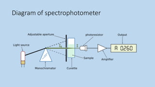(4) Spectrophotometer and spectrophotometry.pdf