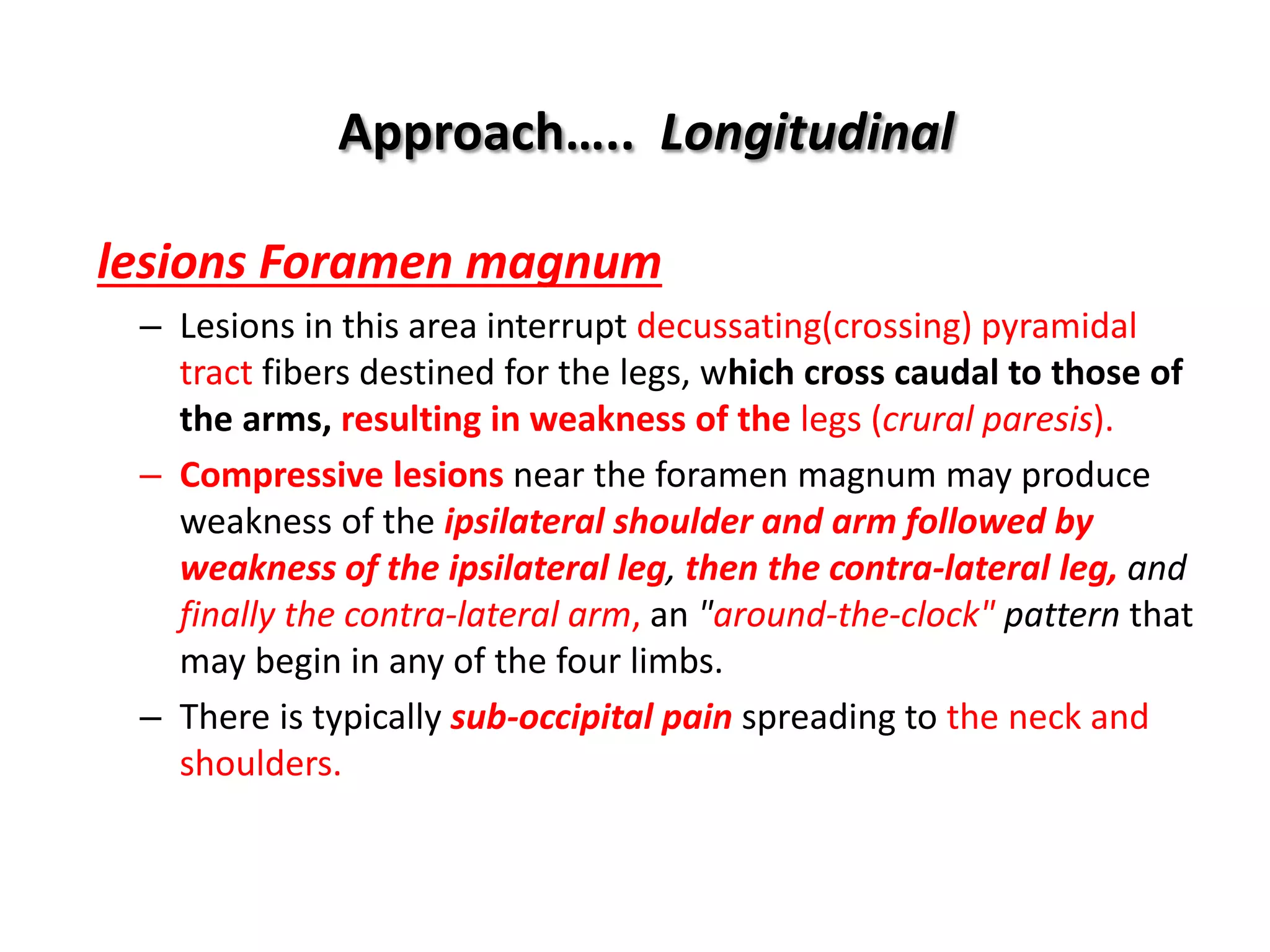 4 spinal cord ds.pptx