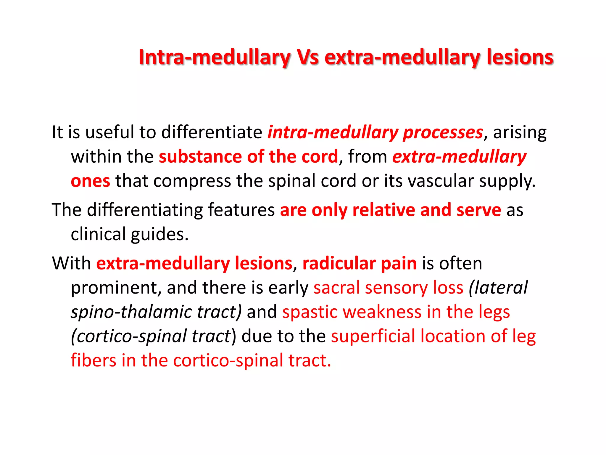 4 spinal cord ds.pptx