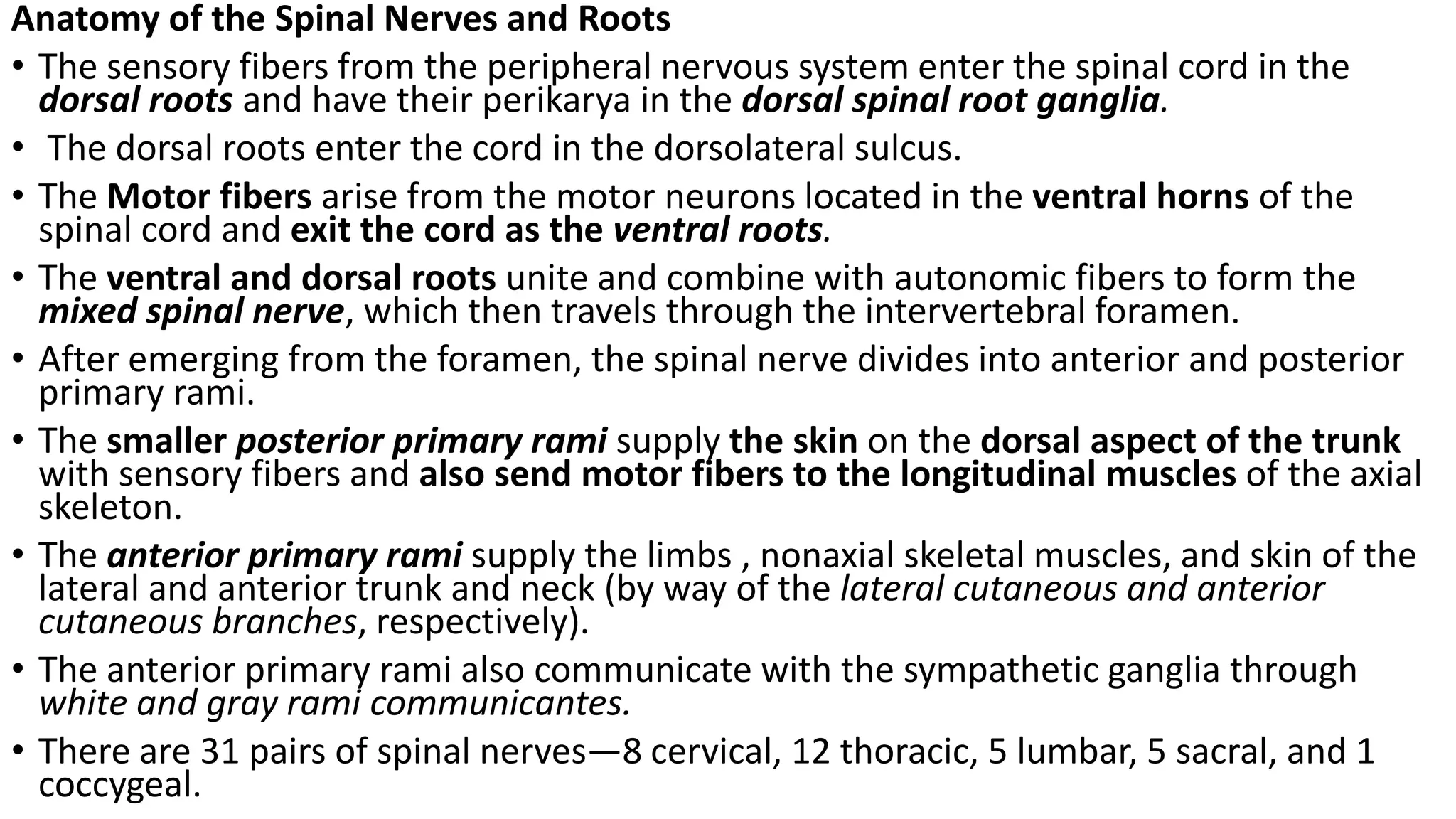 spinal nerves and roots | PPTX