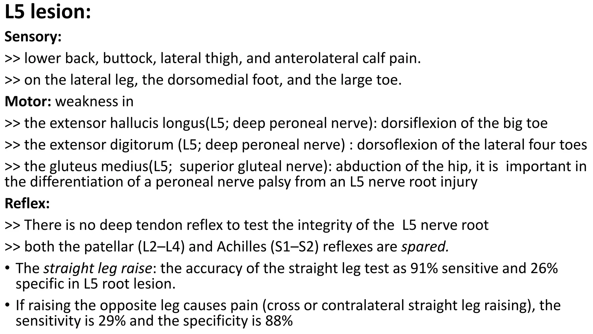 spinal nerves and roots | PPTX