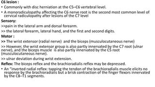 spinal nerves and roots | PPTX | Death, Injury, or Military Conflict ...