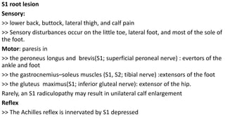 spinal nerves and roots | PPTX