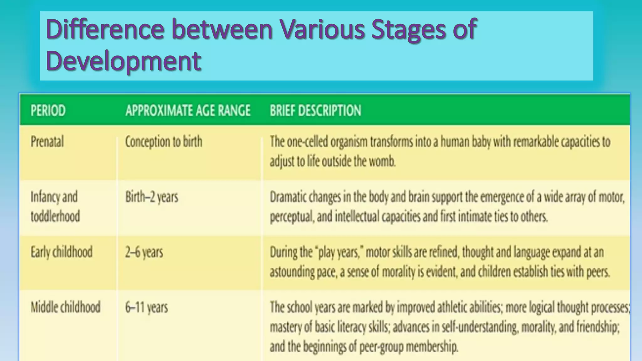 4 # stages of development | PPT