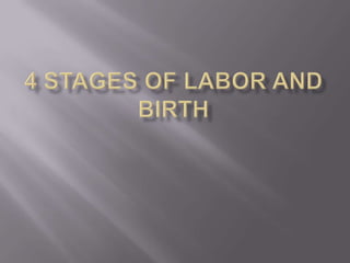 4 stages of labor and birth | PPTX