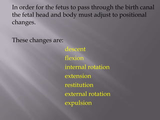 4 stages of labor and birth | PPTX