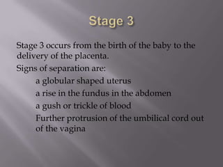 4 stages of labor and birth | PPTX