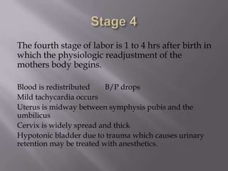 4 stages of labor and birth | PPTX