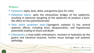 4 Staphylococci & Micrococci.pdf