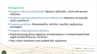 4 Staphylococci & Micrococci.pdf | Infectious Diseases | Diseases and ...