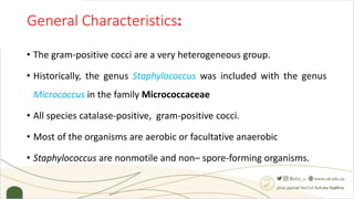 4 Staphylococci & Micrococci.pdf | Infectious Diseases | Diseases and ...