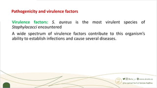 4 Staphylococci & Micrococci.pdf | Infectious Diseases | Diseases and ...