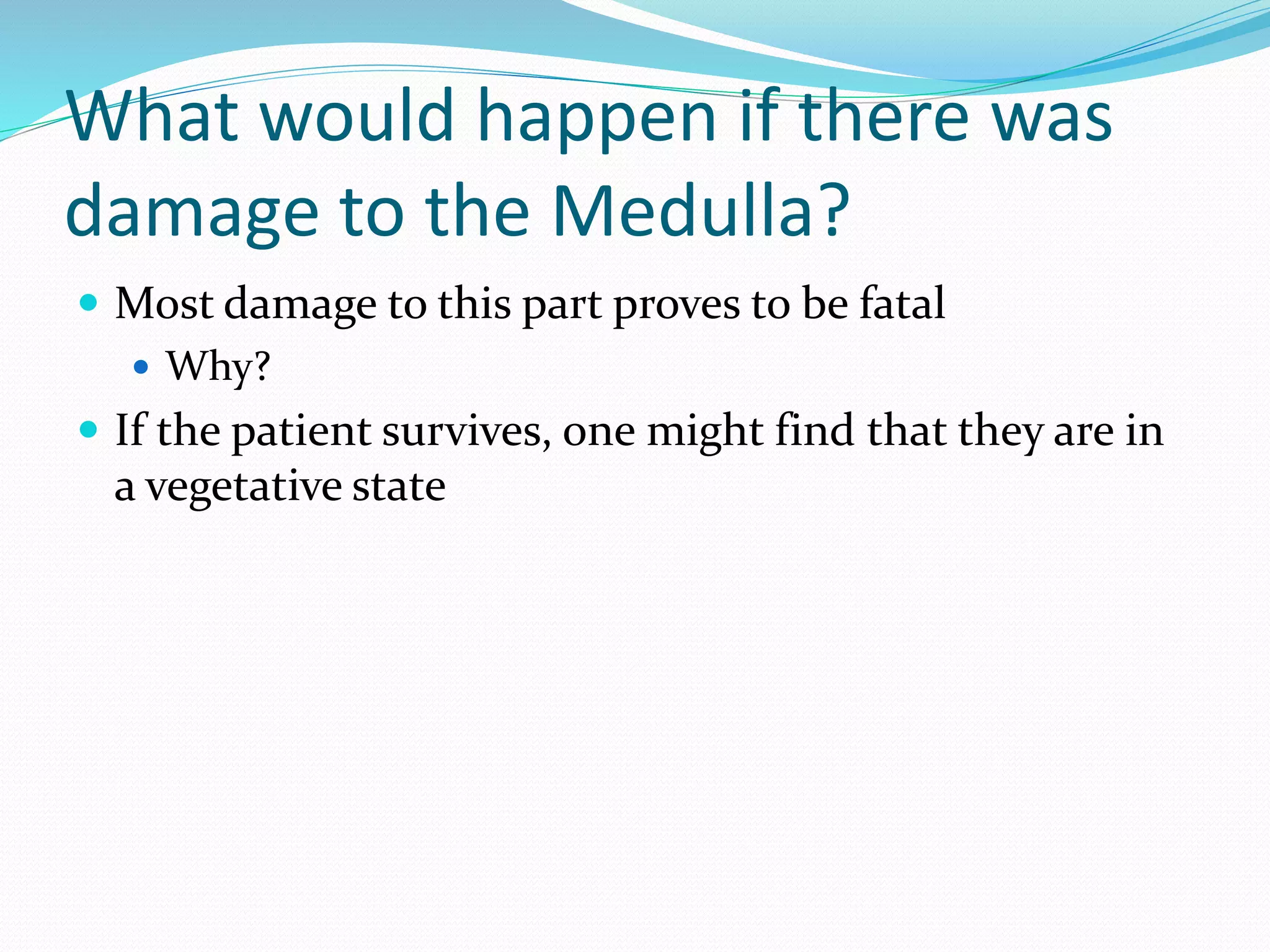 Medulla, Reticular Formation, Thalamus, and Hippocampus | PPTX
