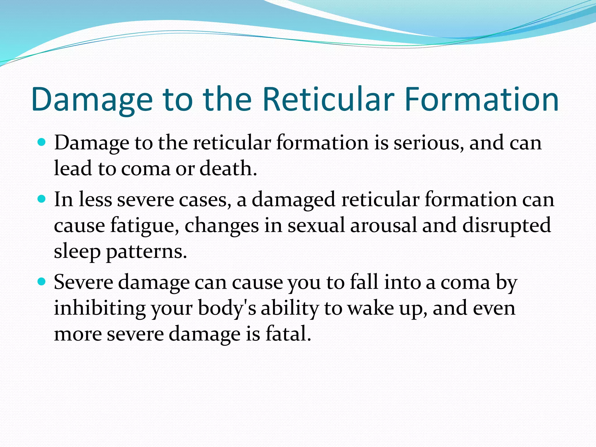 Medulla, Reticular Formation, Thalamus, and Hippocampus | PPTX