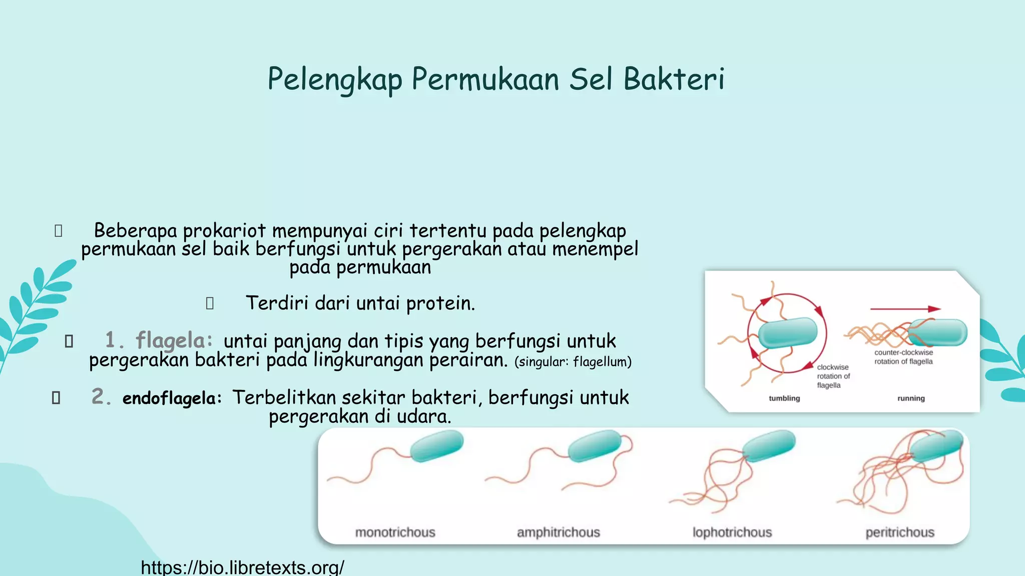 4) Struktur dan Bentuk Sel.pdf