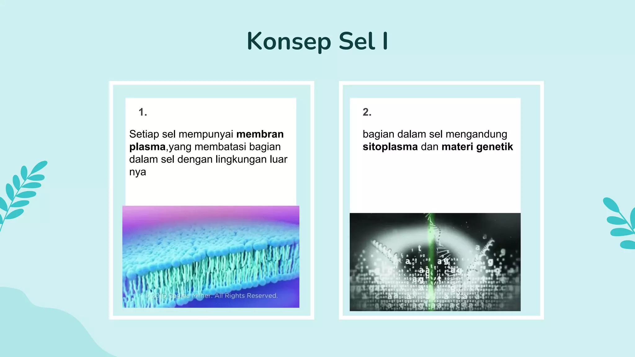 4) Struktur dan Bentuk Sel.pdf
