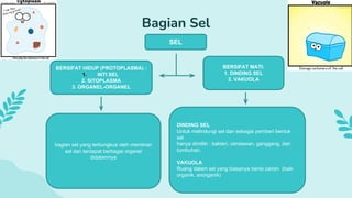 4) Struktur dan Bentuk Sel.pdf