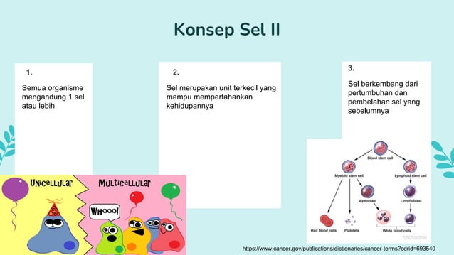 4) Struktur dan Bentuk Sel.pdf