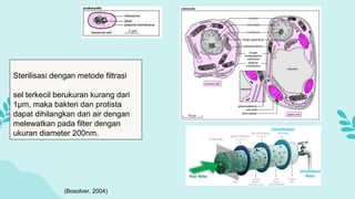 4) Struktur dan Bentuk Sel.pdf