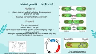 4) Struktur dan Bentuk Sel.pdf
