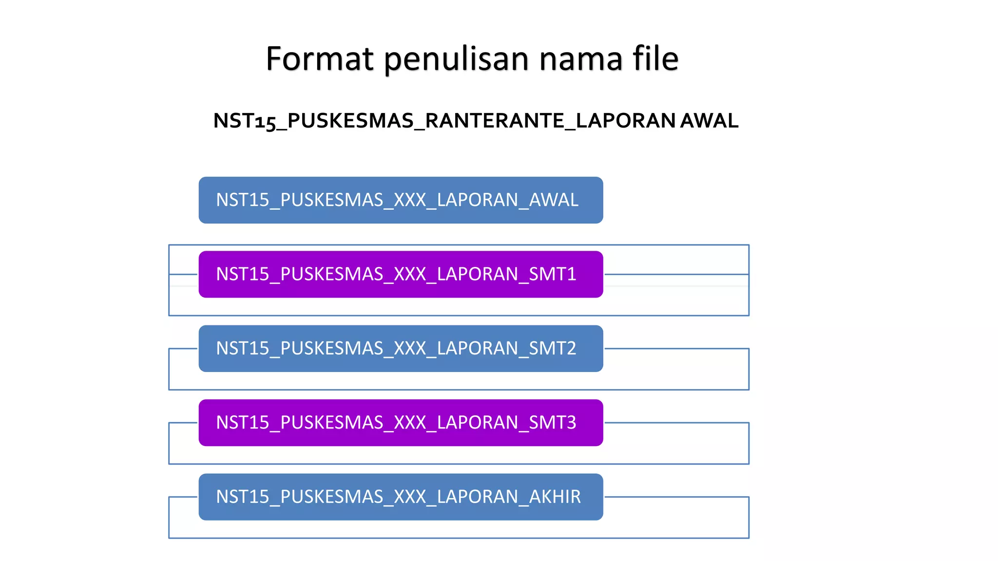 Format Pelaporan NST | PPTX
