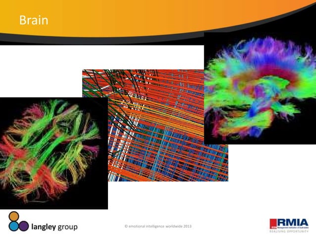Neuroscience of hazard awareness - Sue Langley | PDF | Brain and Nervous System Disorders ...