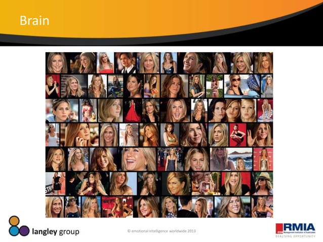 Neuroscience of hazard awareness - Sue Langley | PDF | Brain and Nervous System Disorders ...